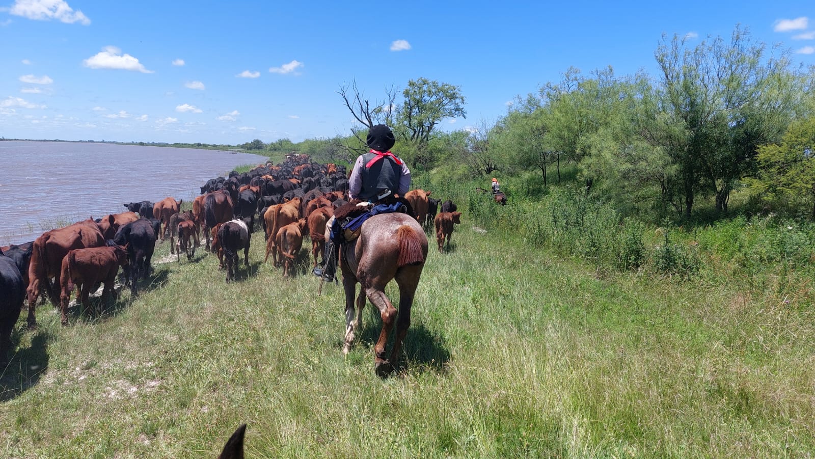Vendo campo en isla entre rios - CamposYa